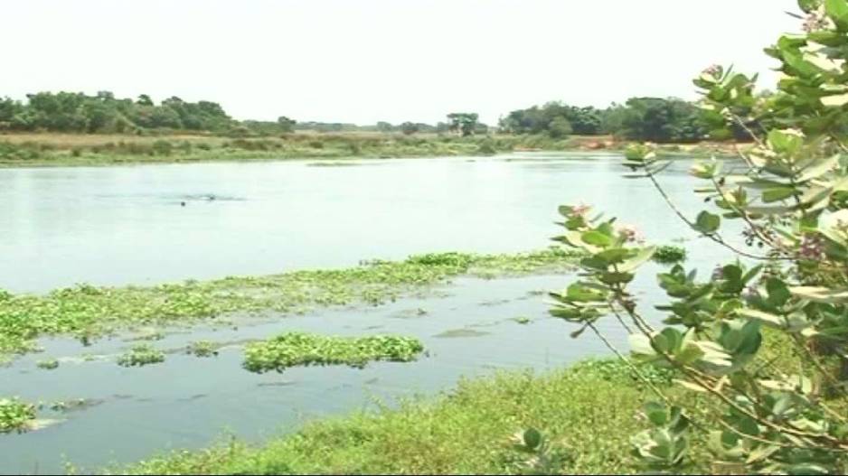 Daya pollution Khurda residents demand supply of Naraj barrage water