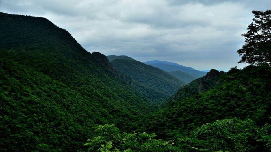 Travel Diaries Not Just Winter Odisha s Daringbadi A Perfect Holiday ...