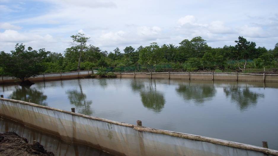 Odisha launches Fish Pond Yojana to boost fresh water aquaculture