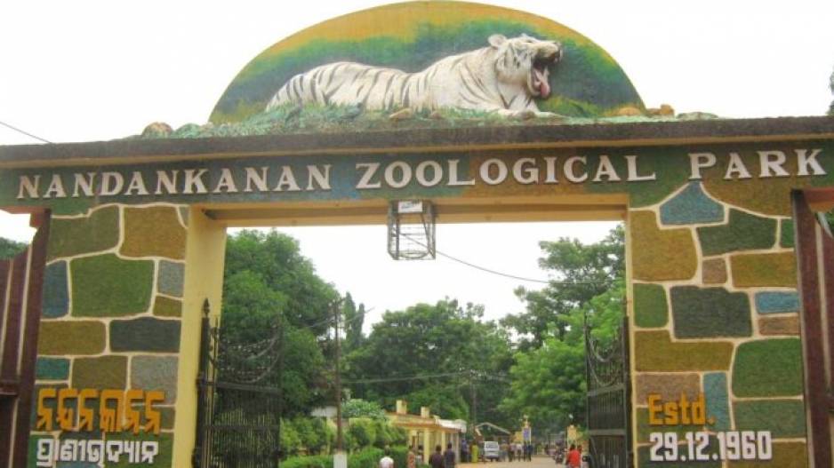 Bhubaneswar: Nandankanan Zoo Reopening From August 3, Here Are The ...