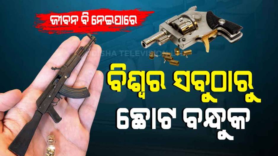 ବିଶ୍ୱର ସବୁଠାରୁ ଛୋଟ ବନ୍ଧୁକ, ଓଜନ ଓ ଦାମ୍ ଜାଣିଲେ ଉଡ଼ିଯିବ ହୋସ୍
