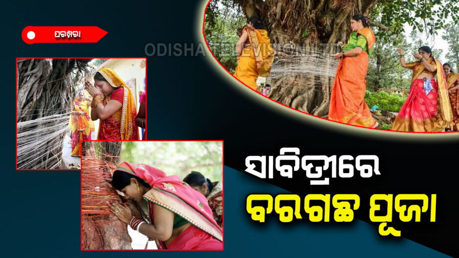 ସାବିତ୍ରୀ ବ୍ରତରେ କାହିଁକି ପୂଜା କରାଯାଏ ବରଗଛକୁ