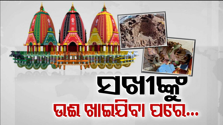 ଶ୍ରୀଜିଉଙ୍କ ରଥ ସଖୀଙ୍କୁ ଖାଇଗଲେ ଉଈ ! ରଥଯାତ୍ରା ପୂର୍ବରୁ ସମ୍ଭବ ନୁହେଁ ନୂଆ ସଖୀ ...