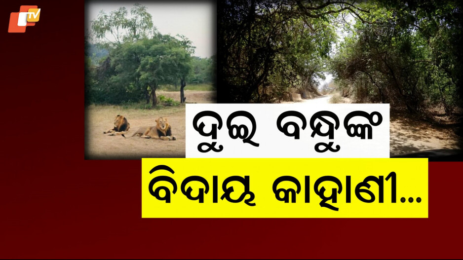 Jay And Veeru: ପାଲଟିଗଲେ ଇତିହାସ, କିନ୍ତୁ ମନେ ରହିବେ ସବୁଦିନ ପାଇଁ...କାହାଣୀ ...