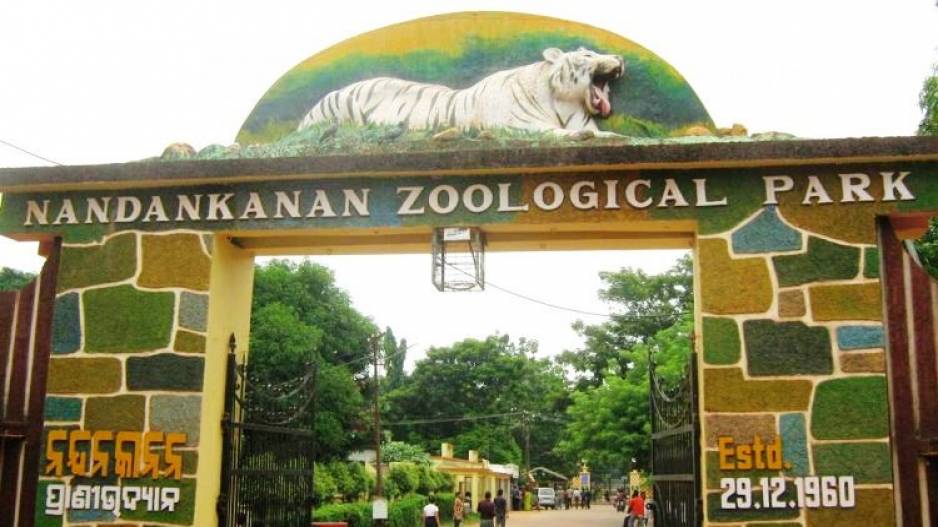 Nandankanan Zoo welcomes five new animals