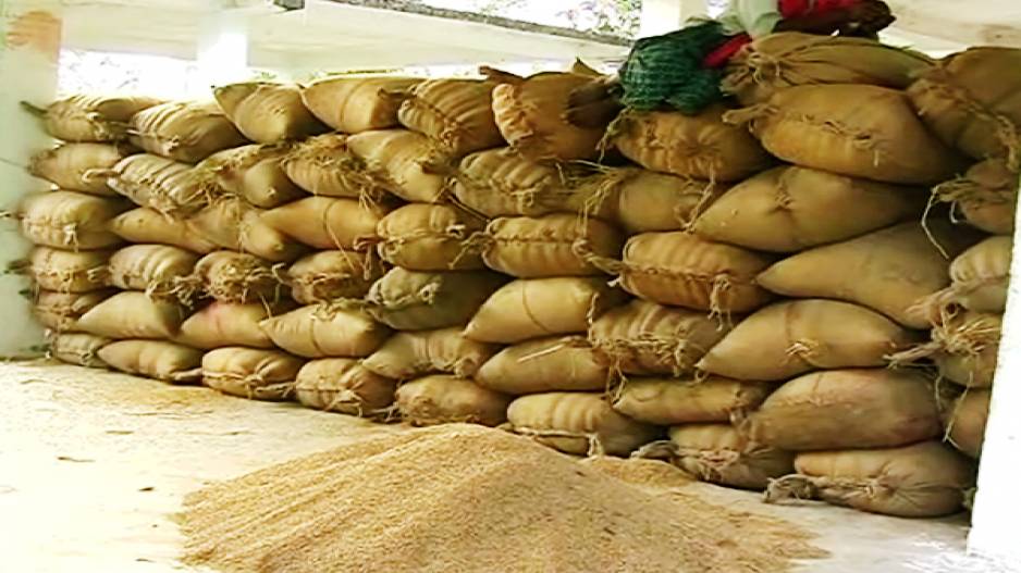 Odisha set to record bumper Paddy production