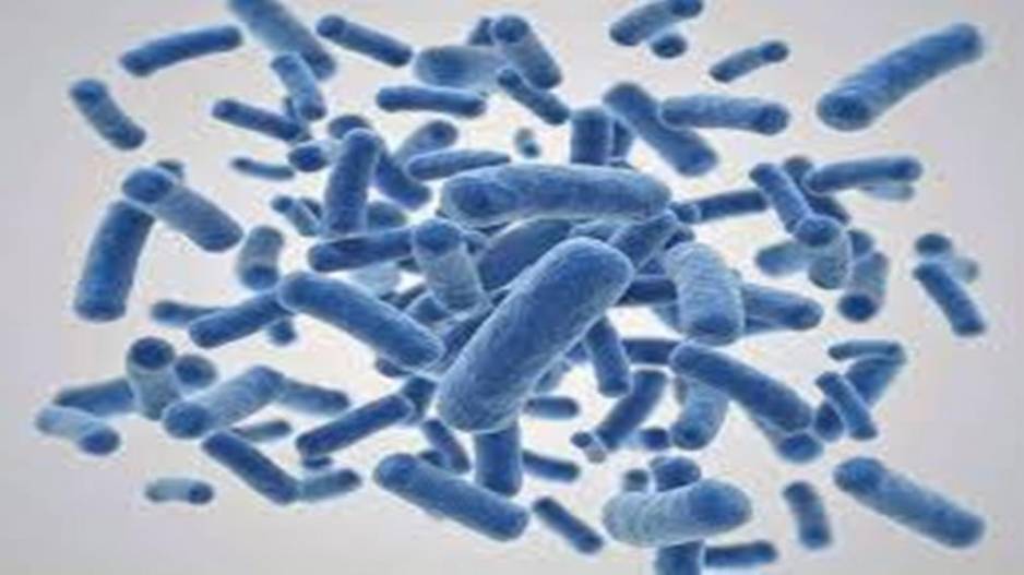 New device rapidly detects deadly bacteria in water
