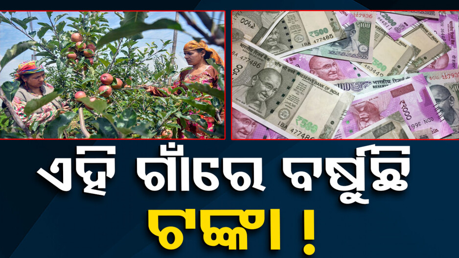 Asia's Richest Village: ସବୁ ପରିବାର କୋଟିପତି; ଜାଣନ୍ତୁ, କ’ଣ କରନ୍ତି ଗାଁ ଲୋକେ