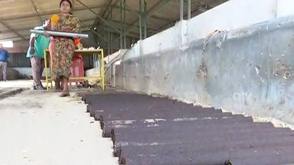 Goshala In Odisha Comes Up With Eco Friendly Cow Dung Logs For Cremation