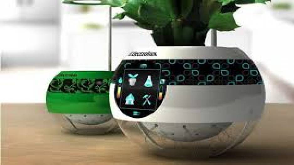 Electronic plants to herald new era for scientists