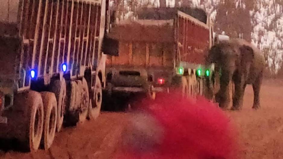 At a time when reports of elephant menace are often hitting headlines ...