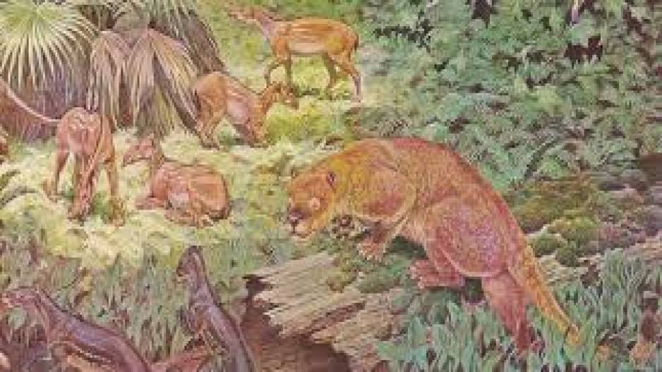 Ancient mammal fossil reveals skin hair evolution