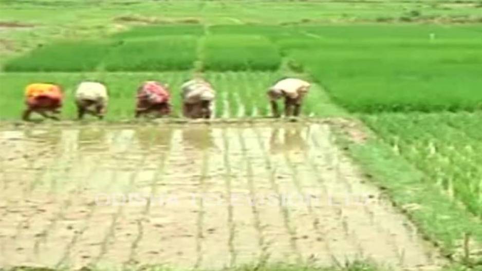 After failing to extend benefits to landless farmers and sharecroppers ...