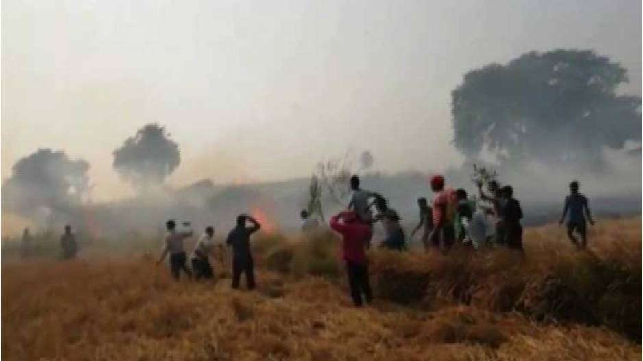 Fire destroys crops over 40 acre farmland in Balasore