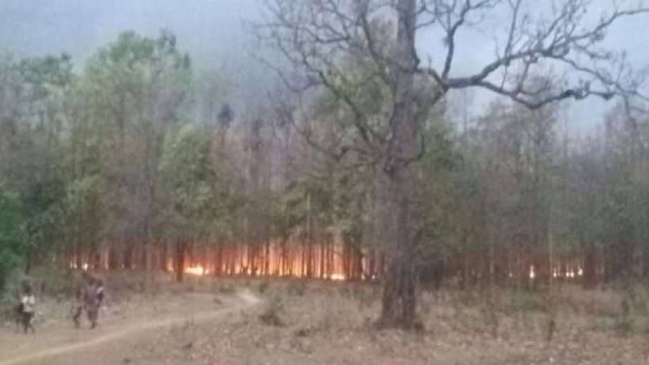 Data available shows that Odisha had recorded as many as 230 large fire ...