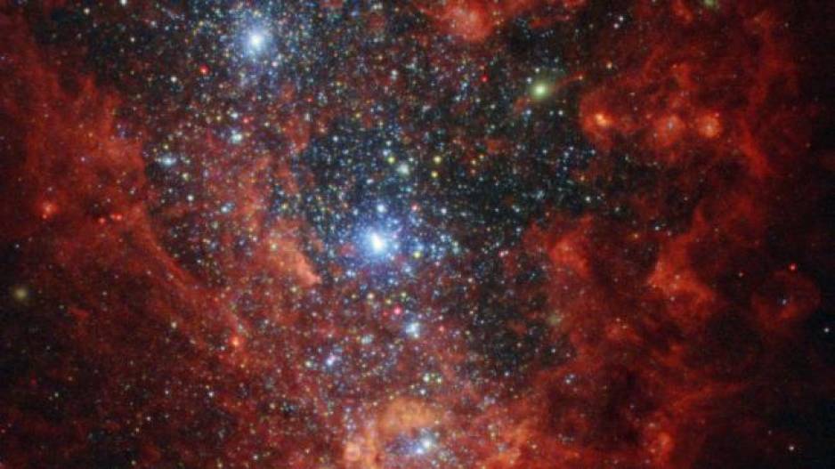 Giant galaxies born in cosmic ocean of cold gas