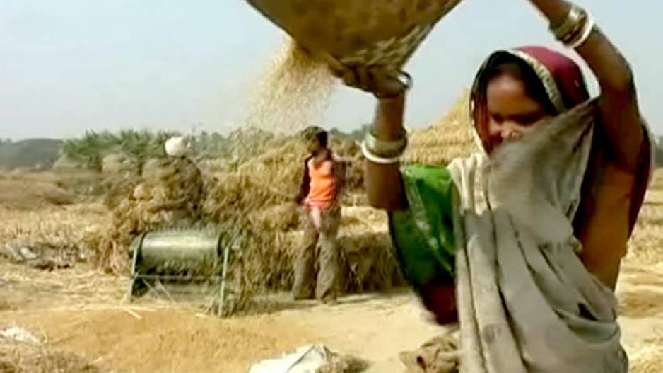 After all time high paddy procurement during the Kharif season Odisha ...