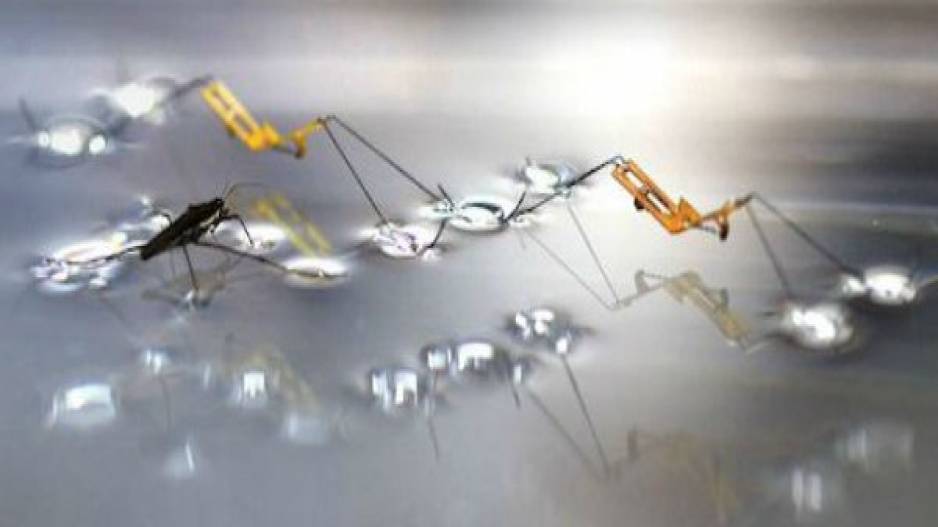 Insect sized robot can jump on water