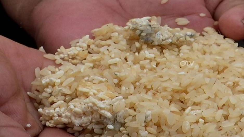 Days after extremely severe cyclone Fani made landfall in Puri affected ...