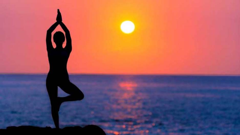 Ahead of the International Day of Yoga on June 21 here are some forms ...