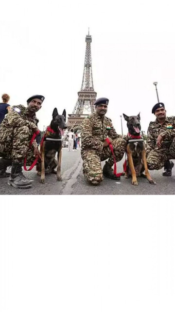 All About India's K9 Squad Deployed In France For Paris Olympics