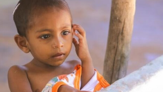 582 mn people worldwide will be chronically undernourished in 2030: UN ...