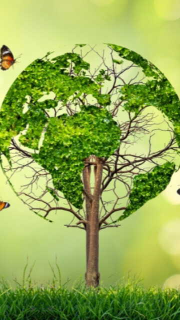 On World Nature Conservation Day, Know How Technology Boosts Wildlife ...