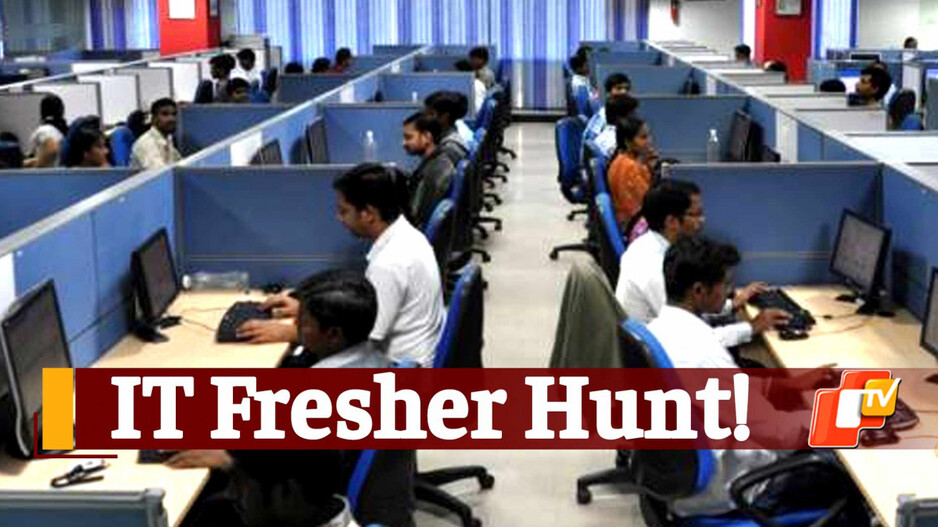 Indian IT Fresher Hunt: What TCS, Infosys, Wipro, HCL Have Said So Far