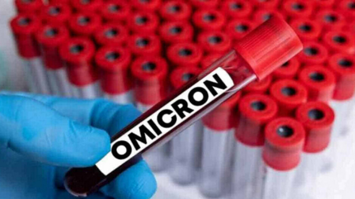 Omicron Subvariant BA.2 can cause severe illness, lab study suggests ...