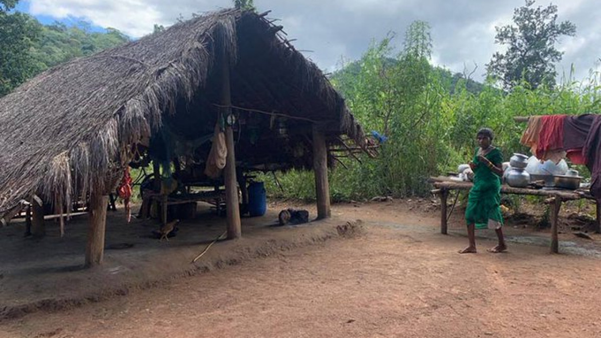 ST Panel Issues Notice To States Including Odisha On Tribals Displaced ...