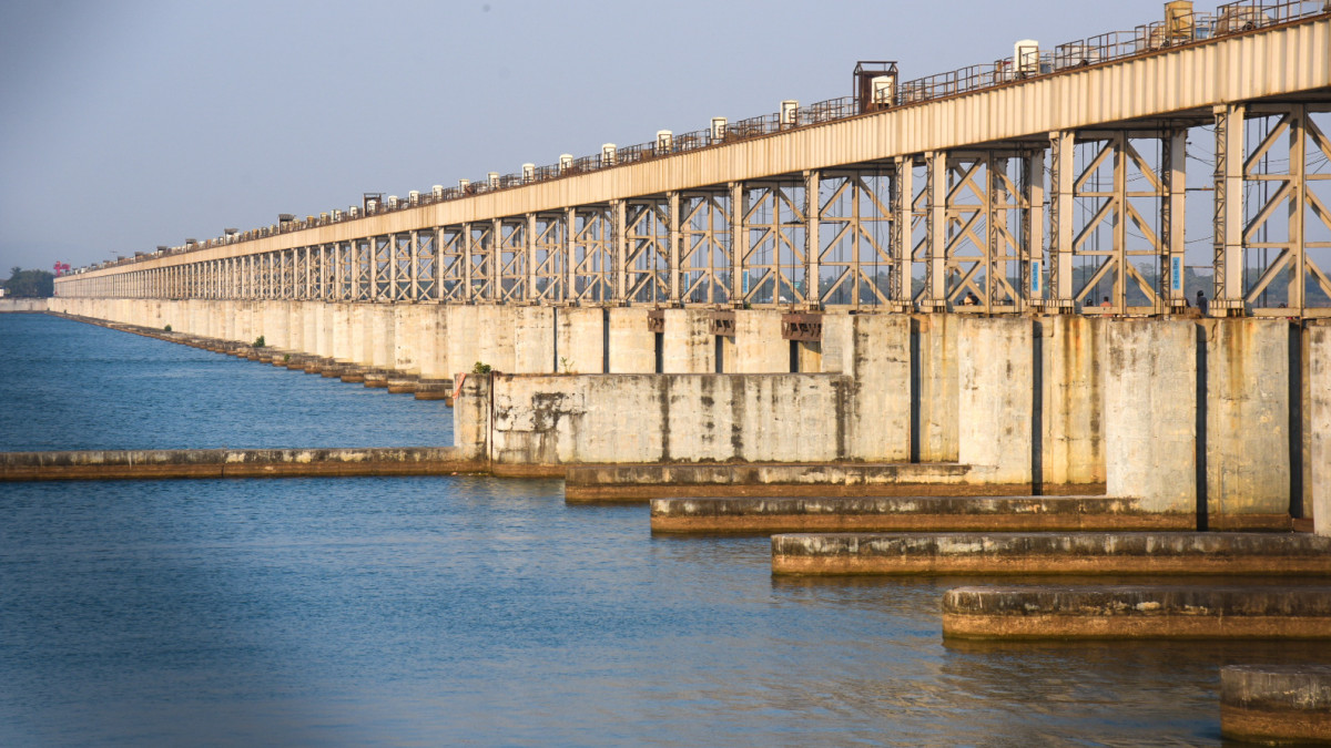 Researchers discover new freshwater fish species in Odisha's Mahanadi river