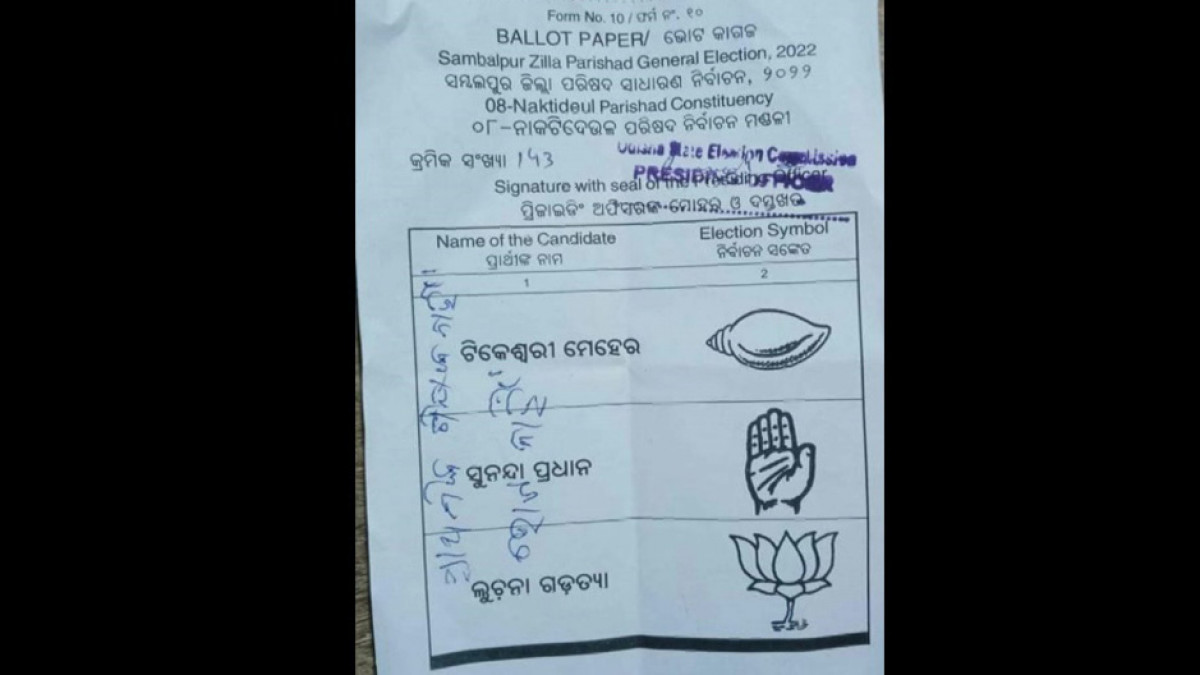 'No Primary Education, No Vote': Photo Of Ballot Paper With Message ...