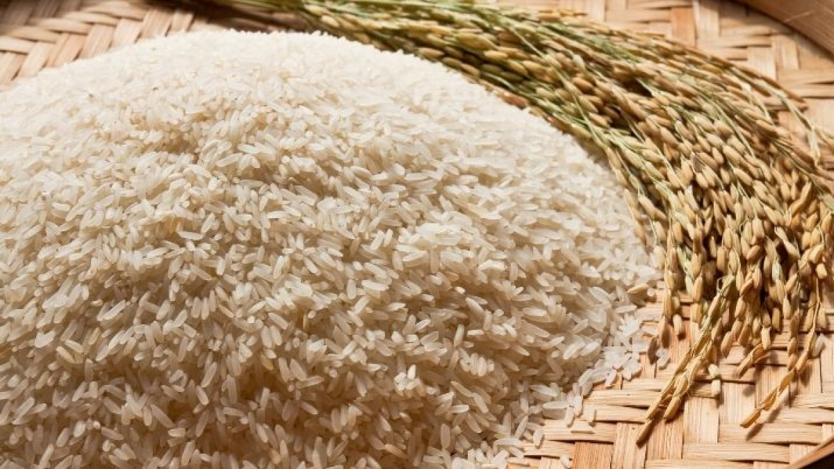 Odisha Makes 100% Rice Allocation Demand Under National Food Security Act