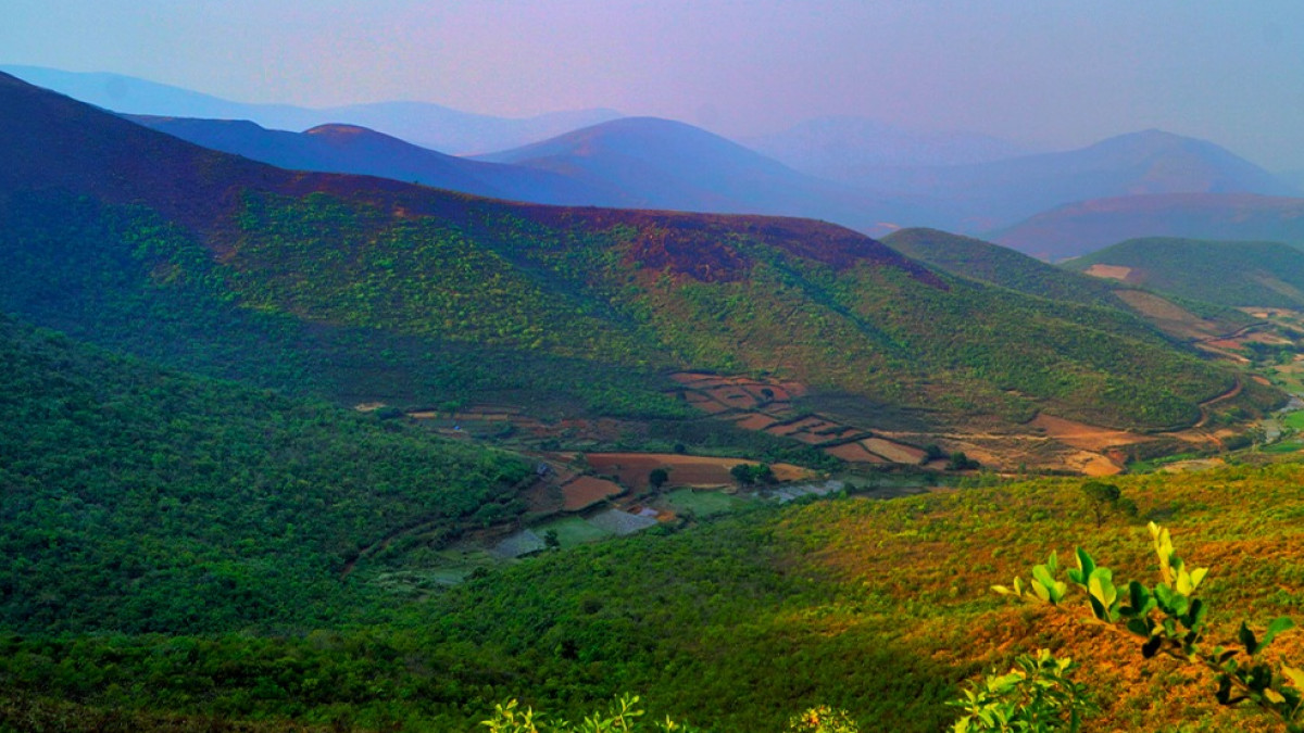 'Deomali, highest peak in Odisha, is not in revenue, tourism and forest ...