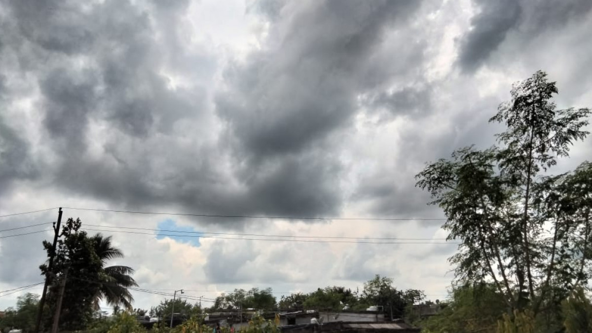 Moderate Thunderstorm Activity With Gusty Wind Likely in Odisha: IMD