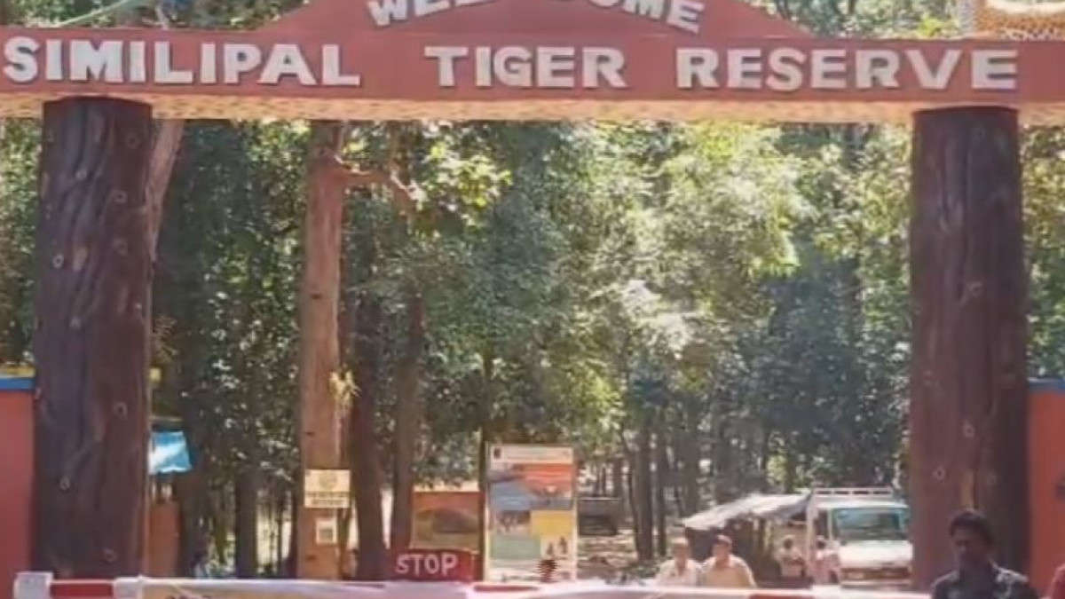 Similipal Tiger Reserve to Remain Closed Until Sept 30: Ecotourism ...